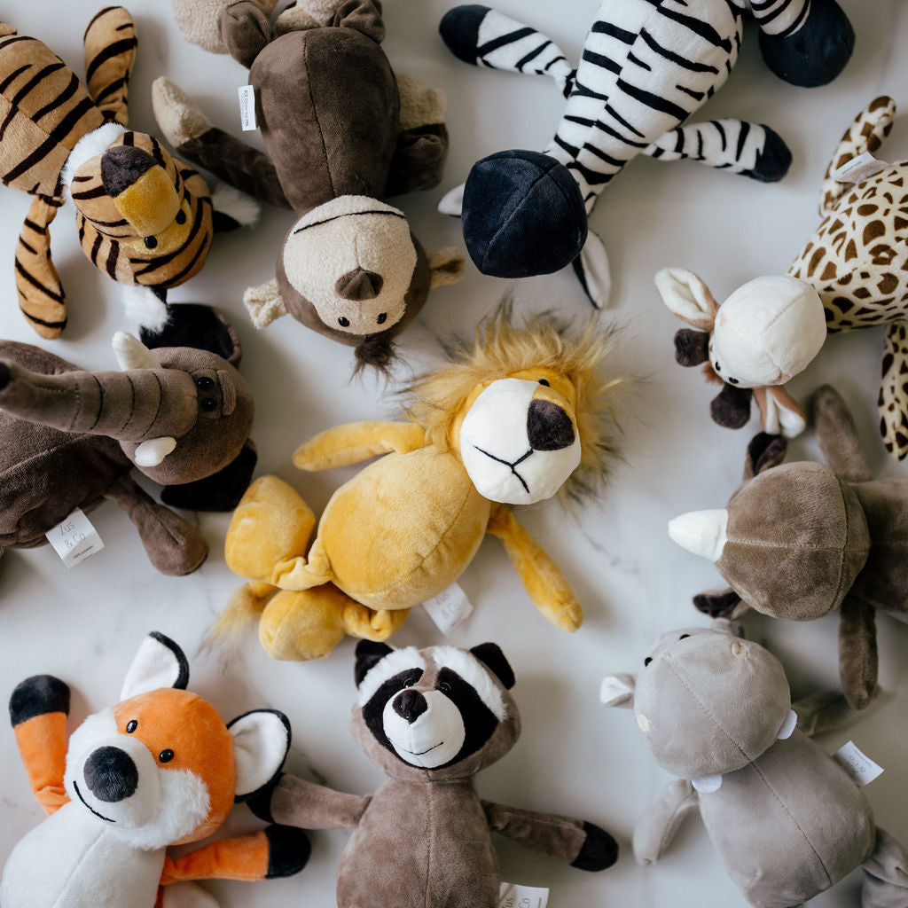 Z&C Teddy Range – Zus & Co.